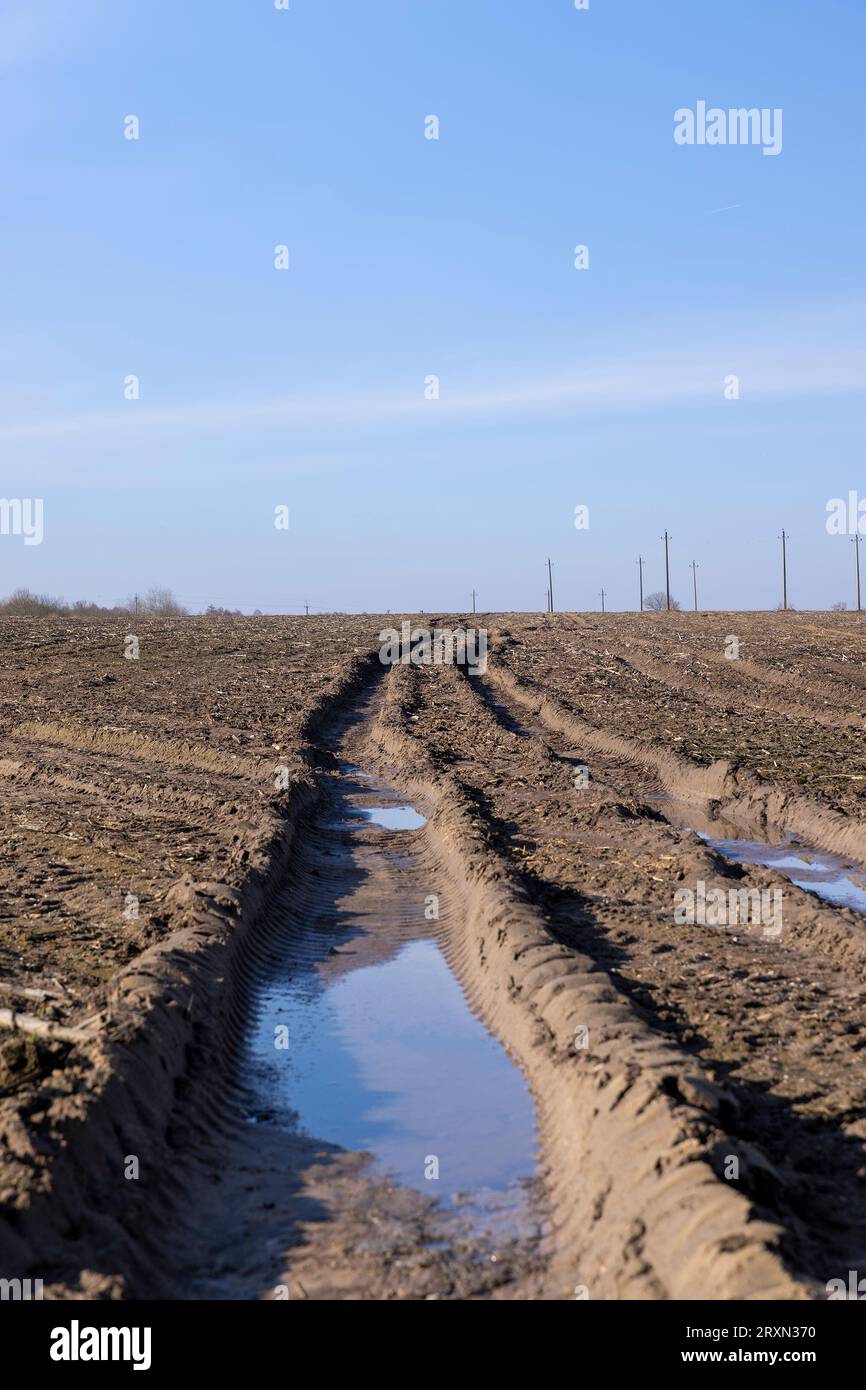 deep ruts from cars in the mud of the field, a field with puddles after ...