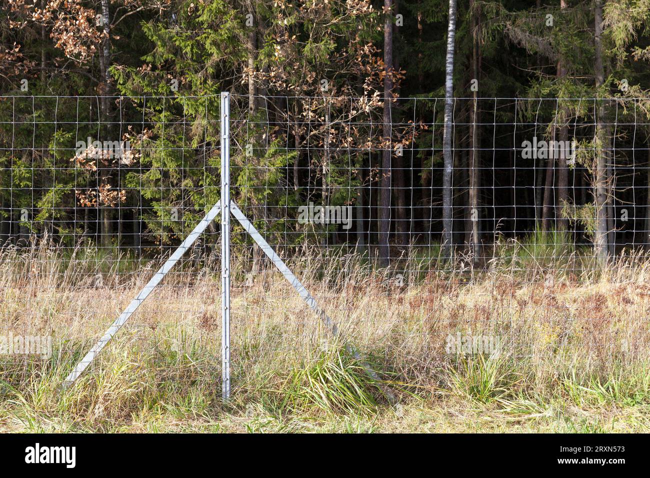 metal fencing in the forest to protect the territory from wild animals ...
