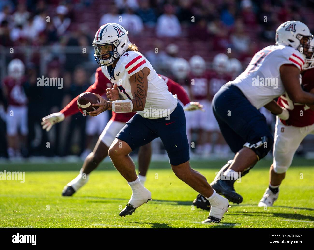 September 23 2023 Palo Alto, CA USA Arizona quarterback Jayden de Laura ...