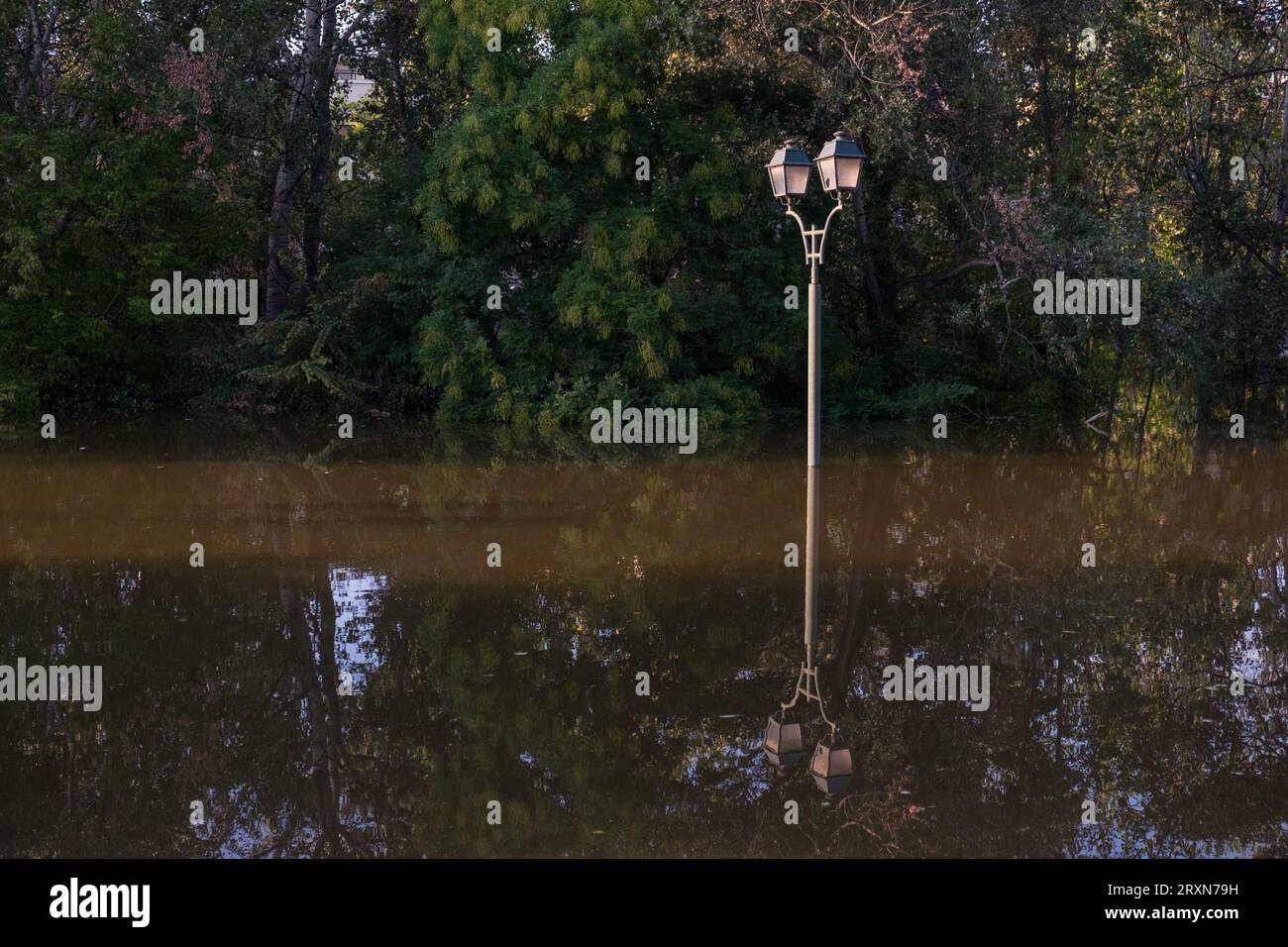 Landscape ,flood and reflection of the trees Stock Photo - Alamy