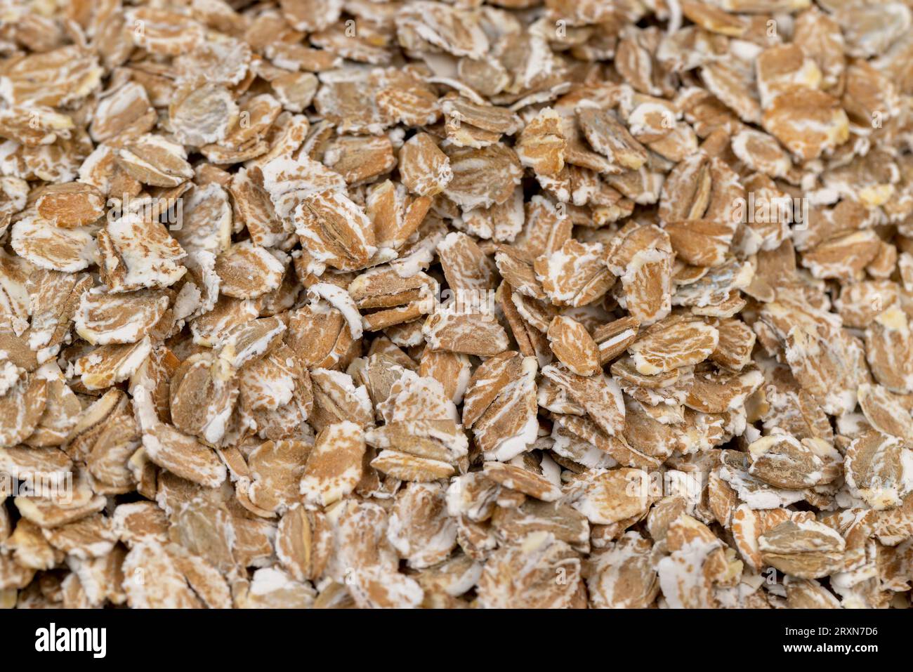 a bunch of fresh dry oatmeal flakes for making porridge, a large number ...