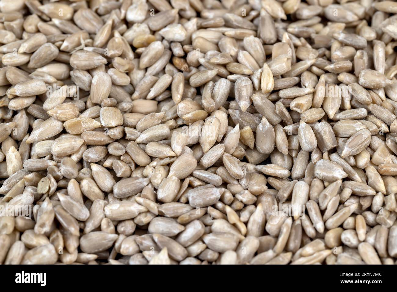 Sunflower seeds peeled from the black shell, scattered sunflower seeds ...