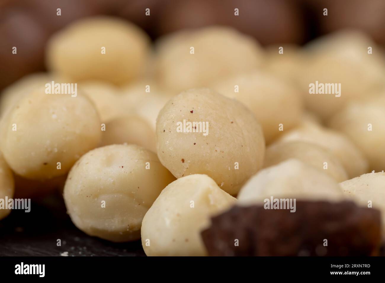 Peeled macadamia nuts on the table, crispy dried macadamia nuts peeled ...