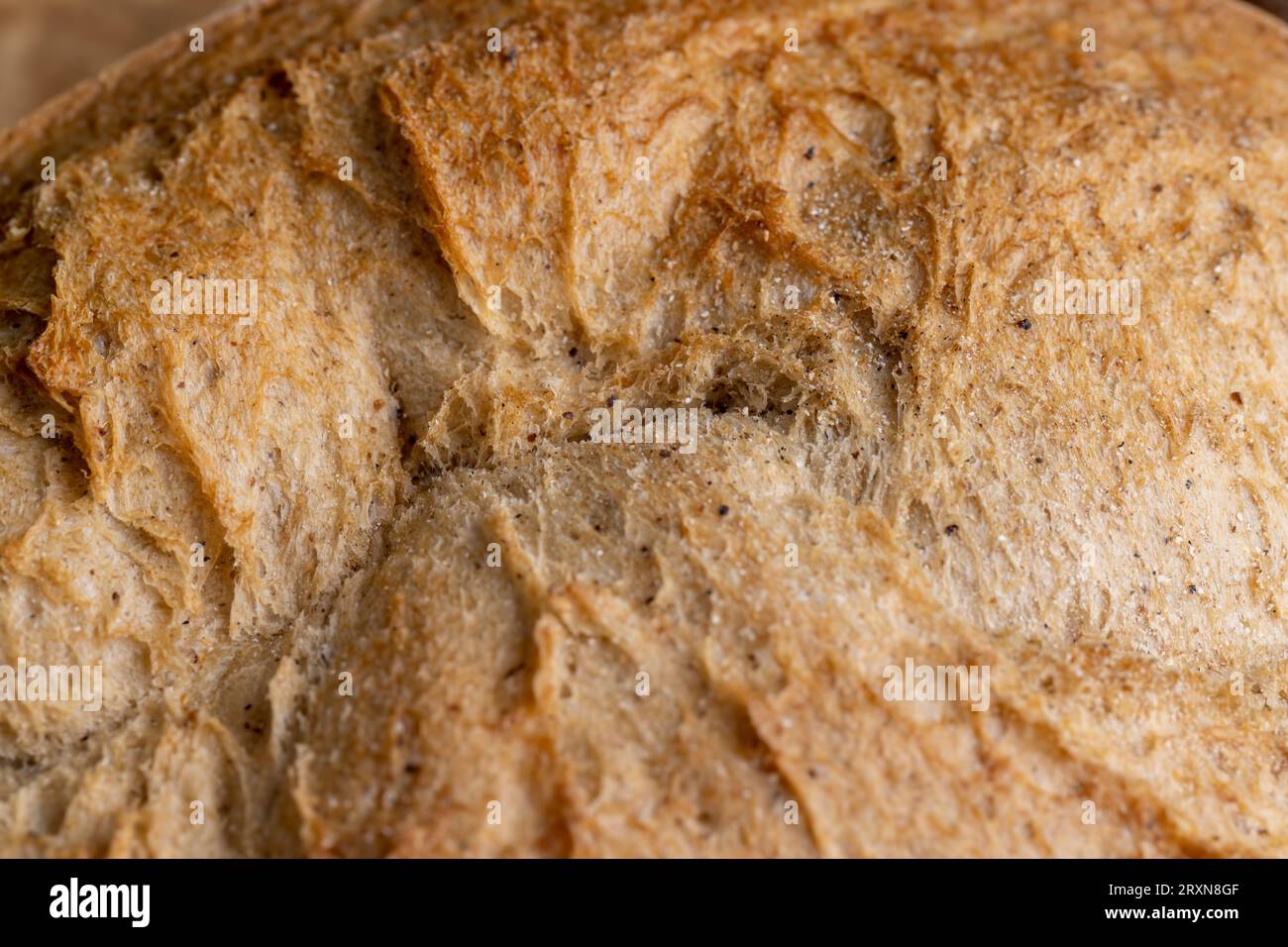 hard crisp crust of a freshly baked loaf of bread, details of a loaf of ...