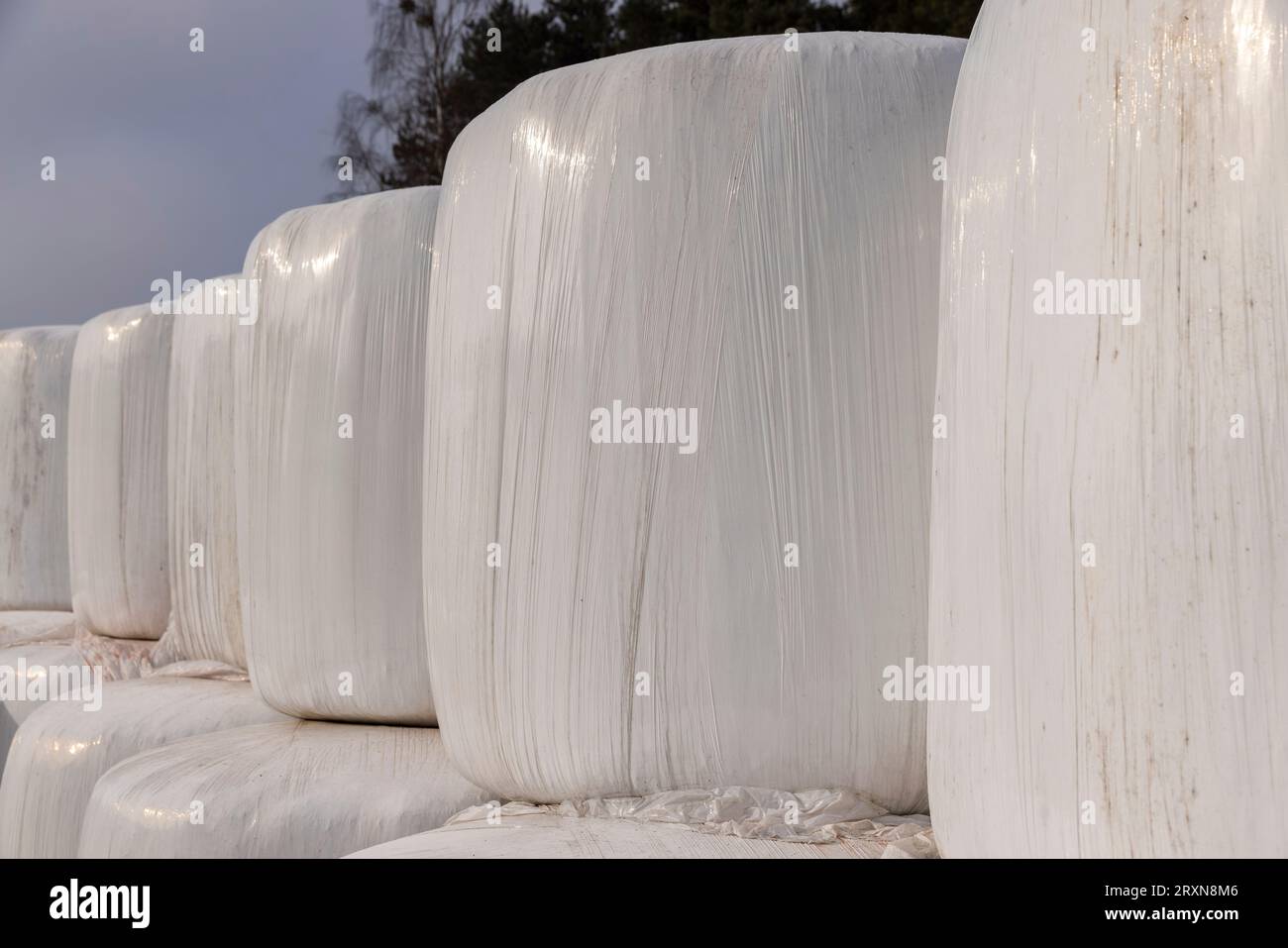 Hay bales covered plastic in hi-res stock photography and images - Alamy