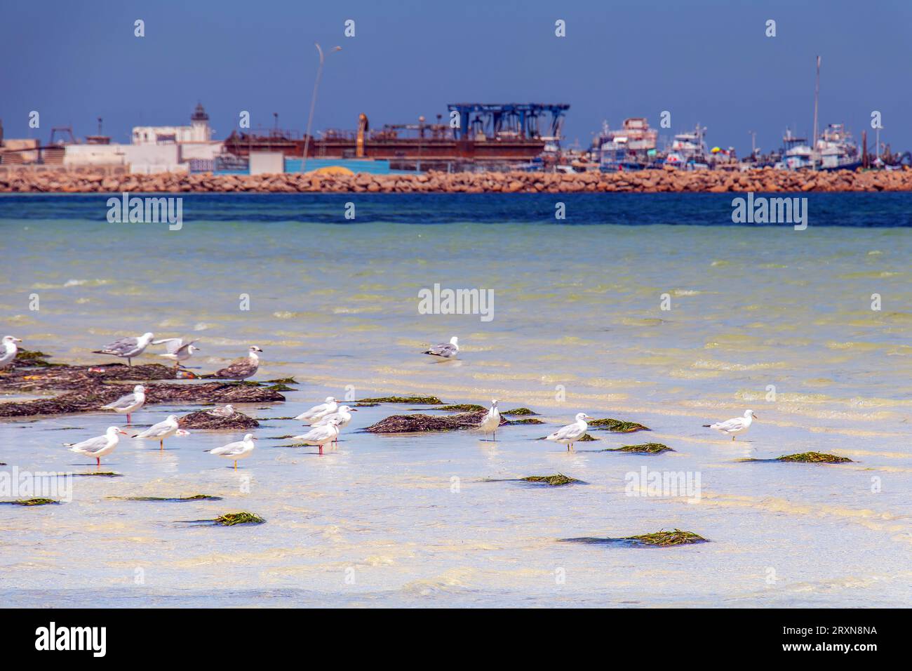 Fishing Port on Two-Tone Beach Stock Photo - Alamy