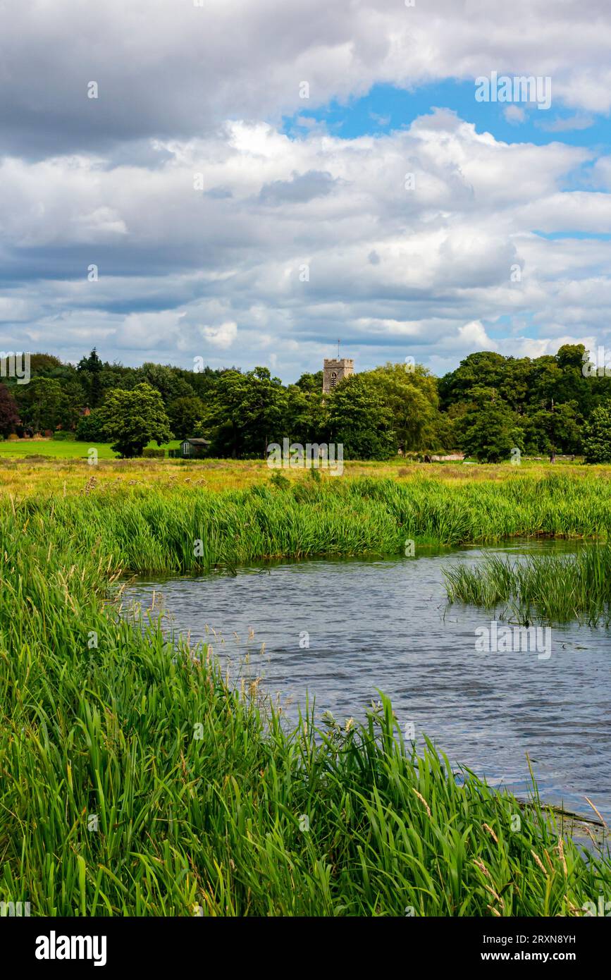 Summer view of the River Bure near the village of Lamas in Norfolk ...
