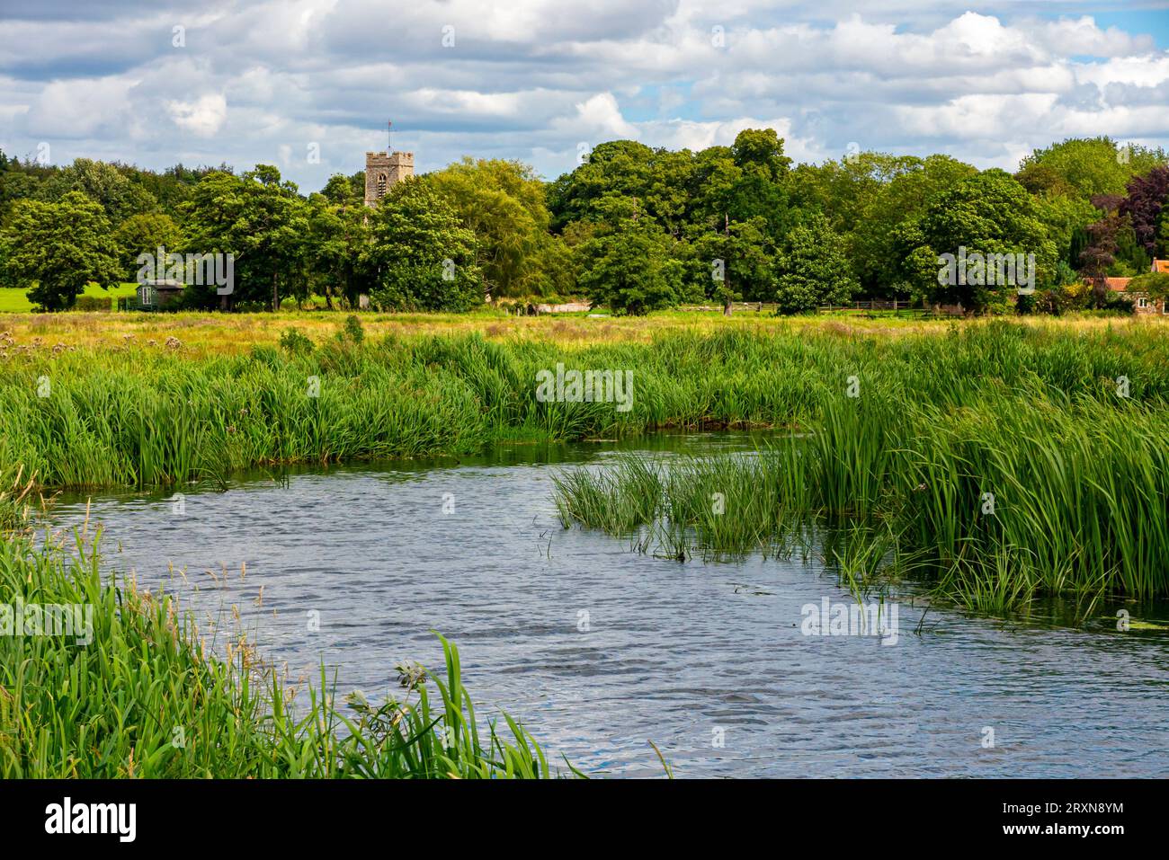 Summer view of the River Bure near the village of Lamas in Norfolk ...