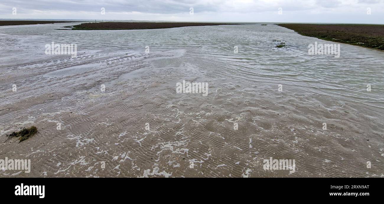 Le Crotoy, Marquenterre Park. Baie de Somme, Somme, Hauts-de-France ...