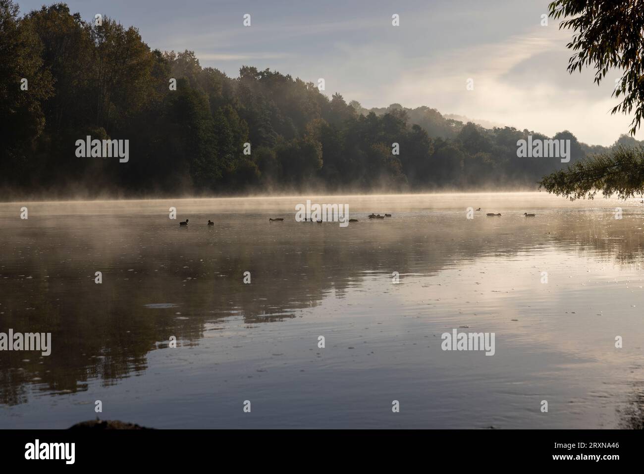 Fog-covered river in the autumn season, features of autumn nature on ...