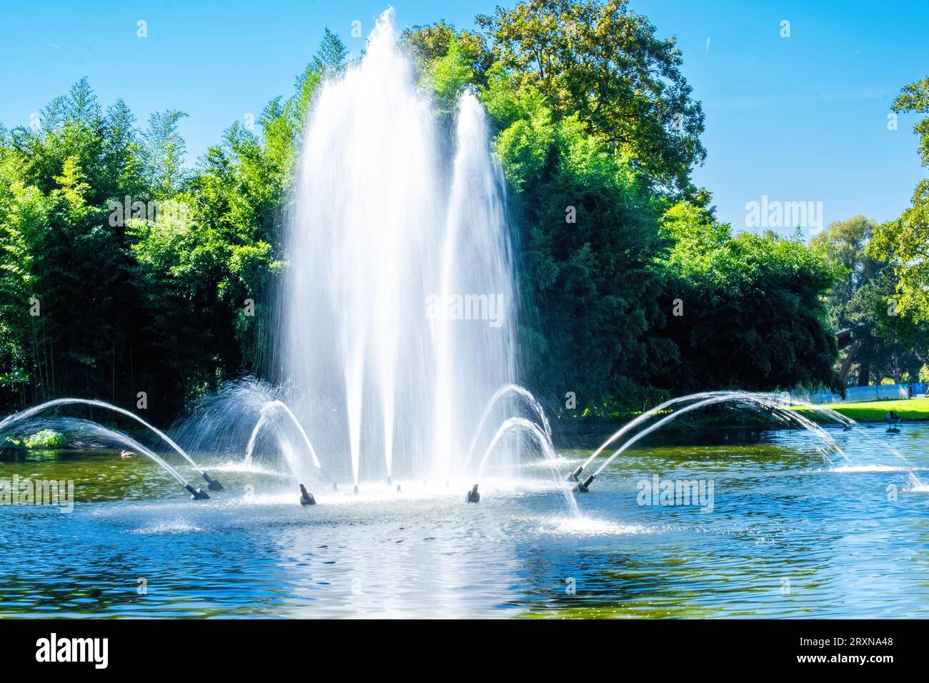 Beautiful fountain in lake at the park. Splashing streams Stock Photo ...