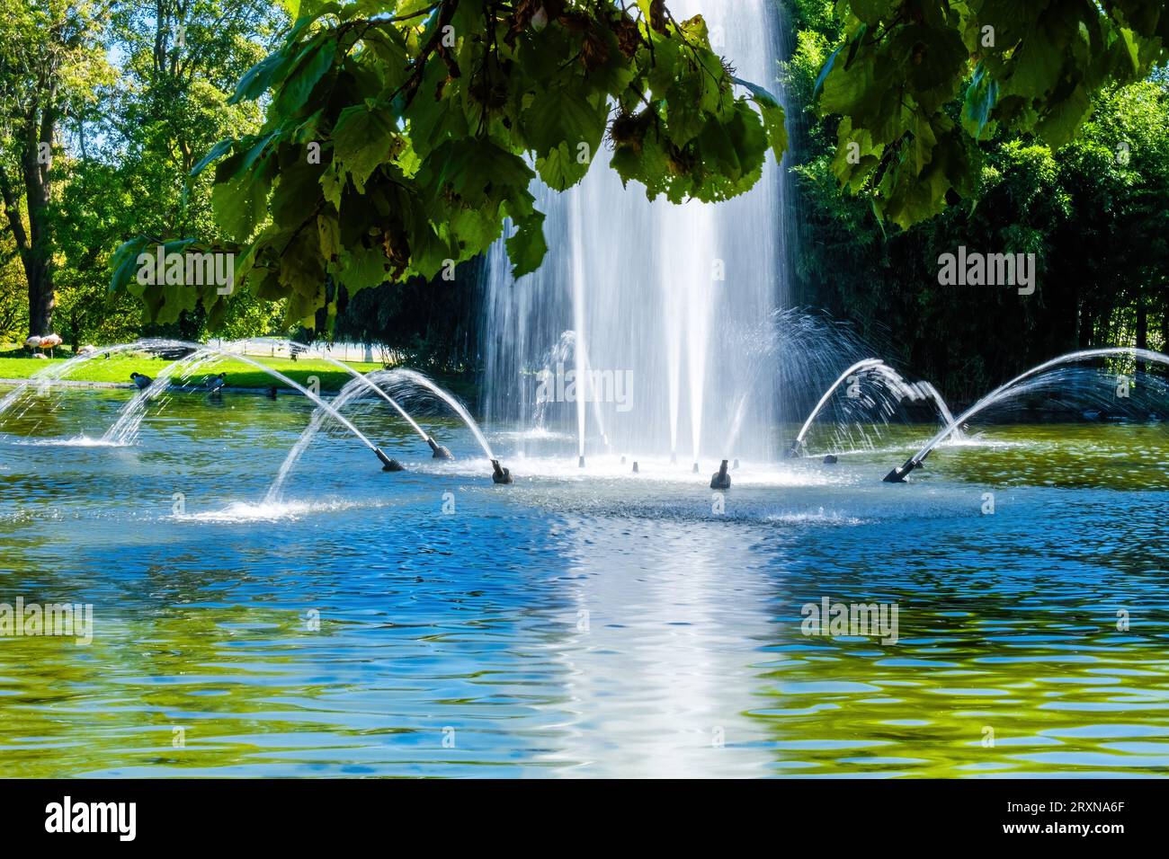 Beautiful fountain in lake at the park. Splashing streams Stock Photo ...