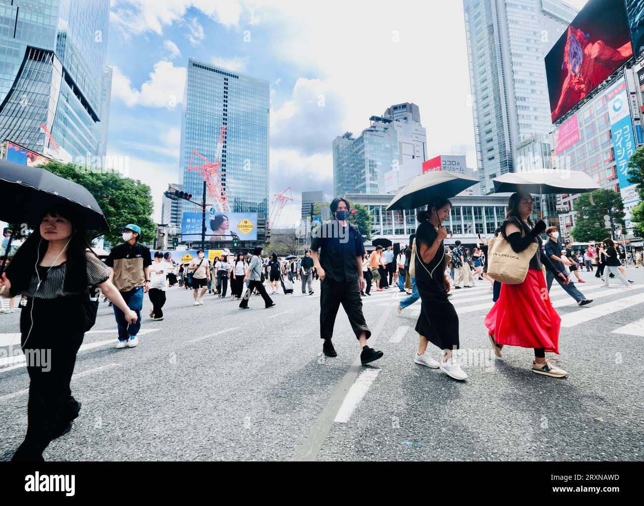2023 shibuya crossing scramble hi-res stock photography and images - Alamy