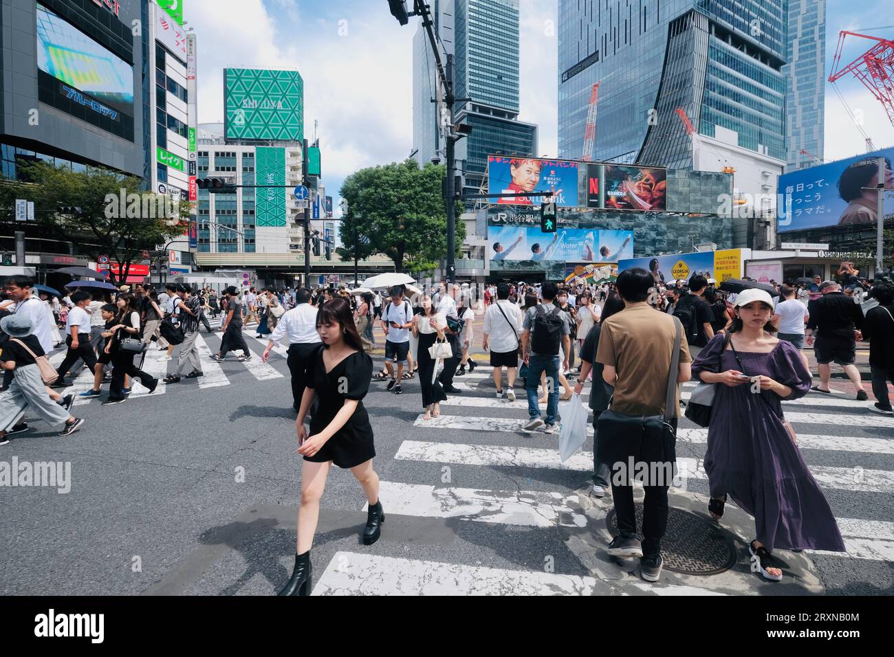 2023 shibuya crossing scramble hi-res stock photography and images - Alamy