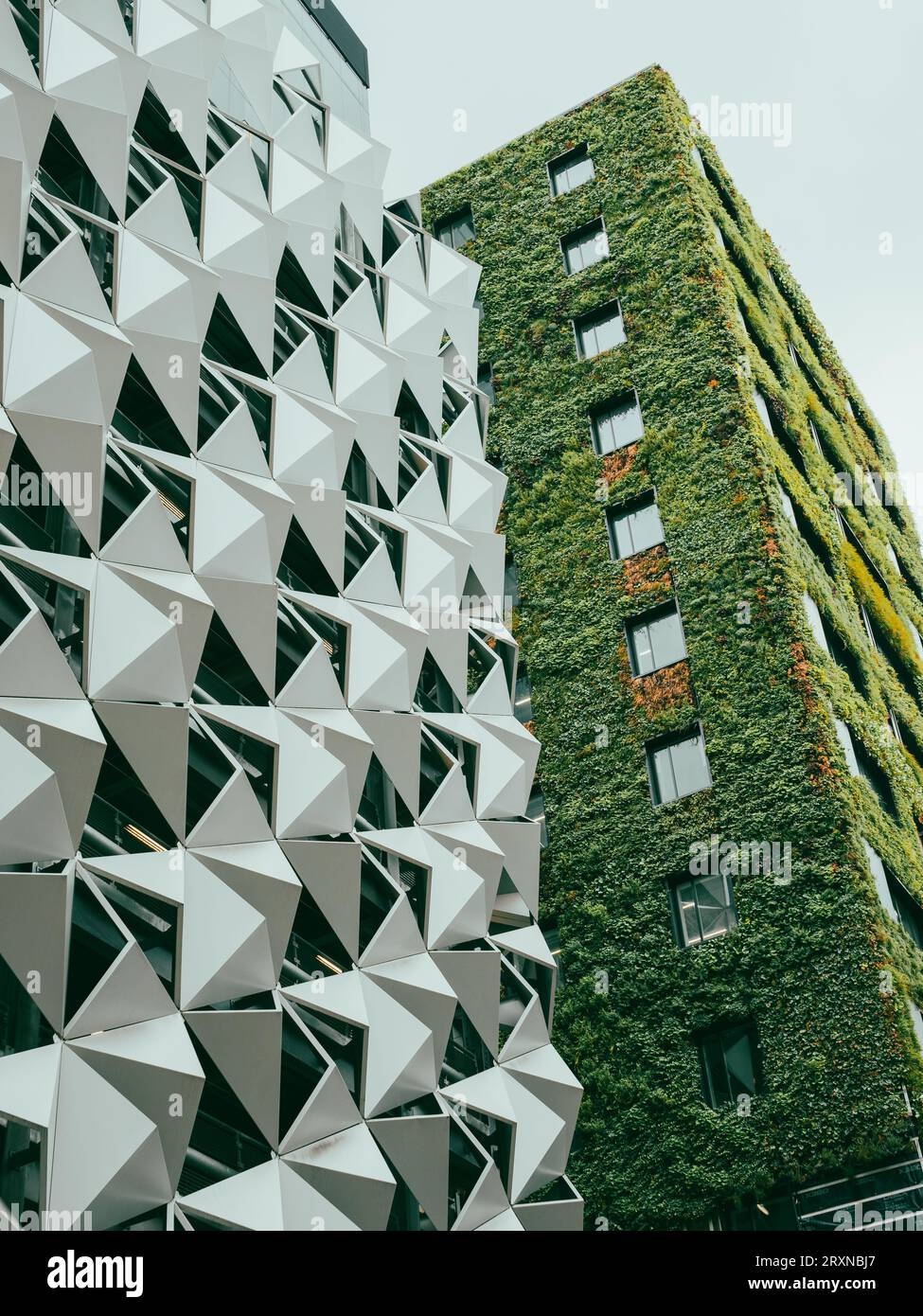 Modern new build office block with plants growing vertically on the ...