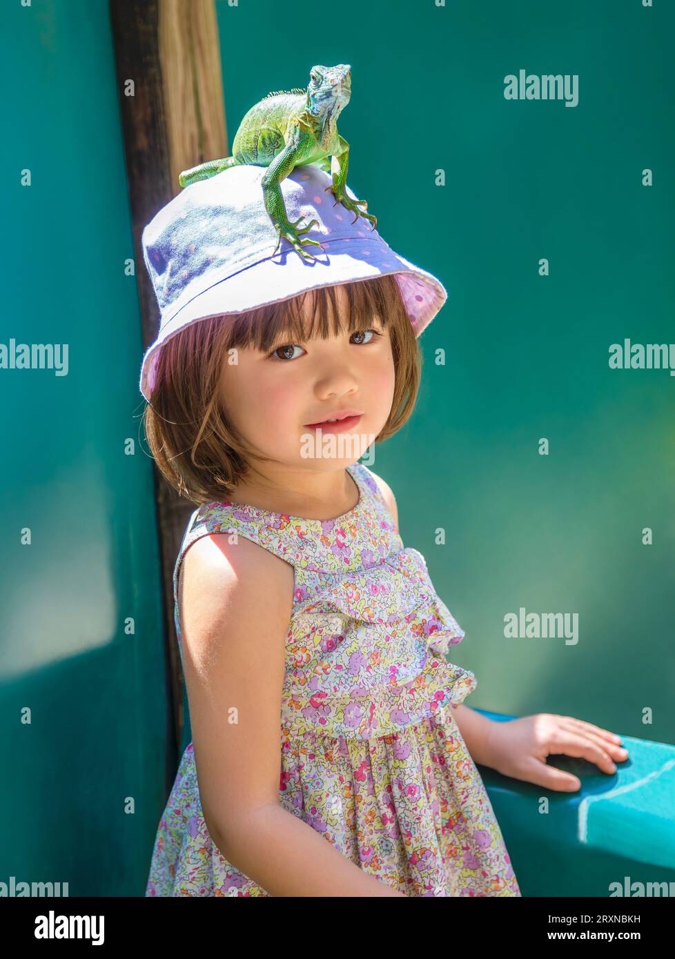 Pretty 4 year old girl hi-res stock photography and images - Alamy