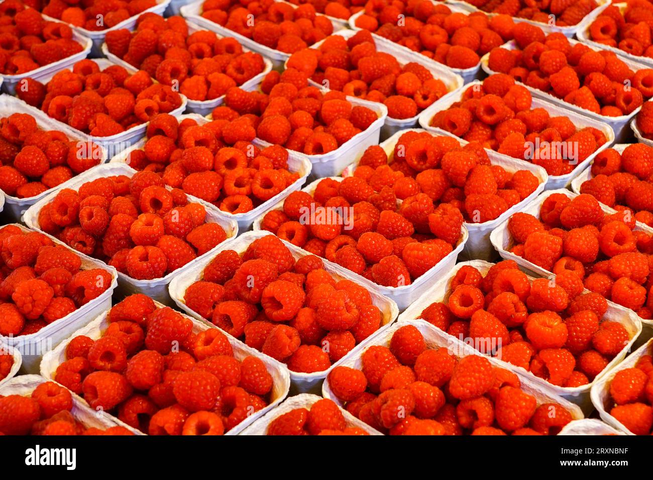Fresh red raspberries in white paper baskets on a stand at a farmers ...