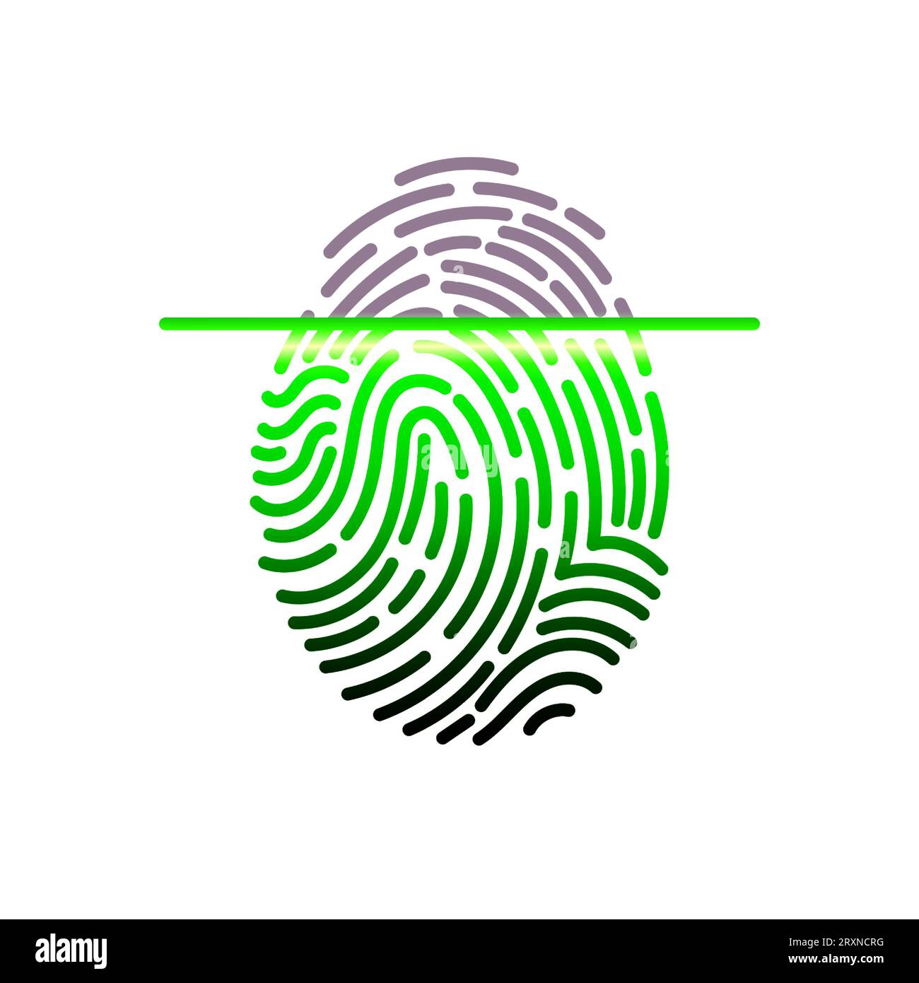 Laser scanning of fingerprint, vector illustration of digital biometric security technology ...