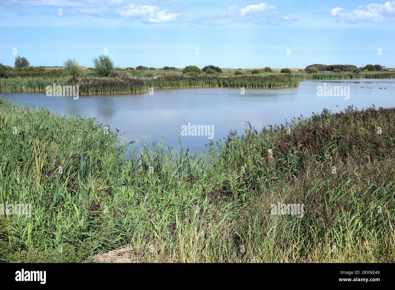 Trek hi res hi-res stock photography and images - Alamy