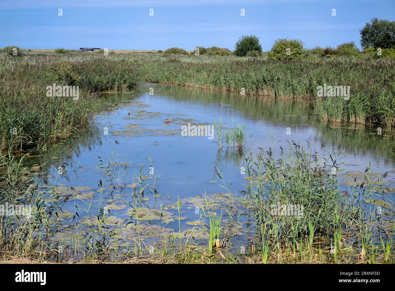 Trek hi res hi-res stock photography and images - Alamy