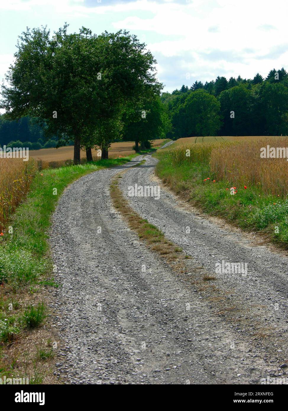 Walnut way hi-res stock photography and images - Alamy