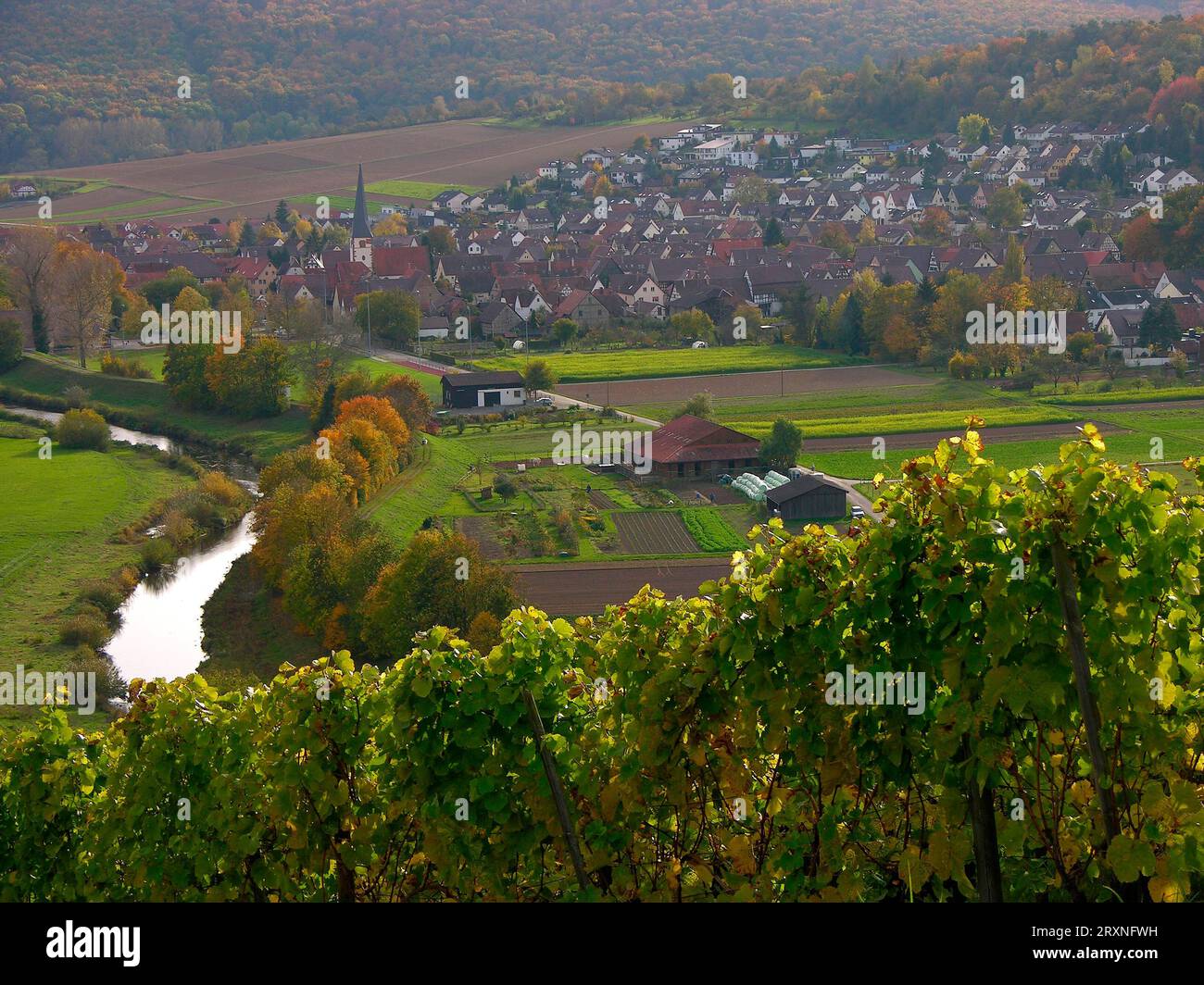 Muehlhausen, Enz Baden-Wuerttemberg, Germany. Autumn, River:Enz, Enztal ...