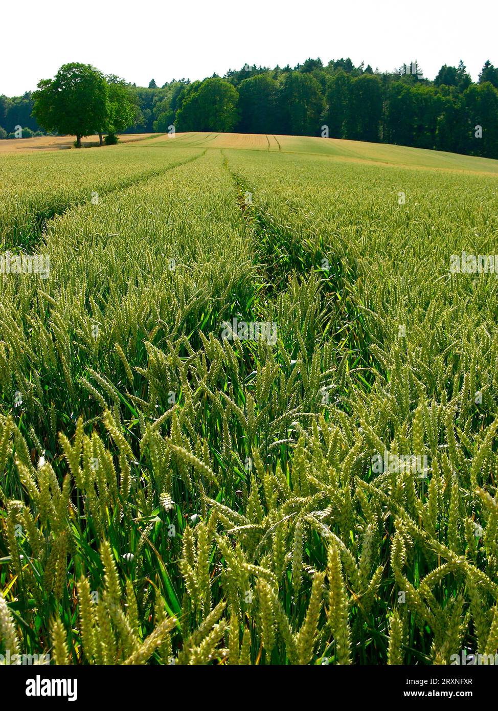 Tractor track hi-res stock photography and images - Alamy