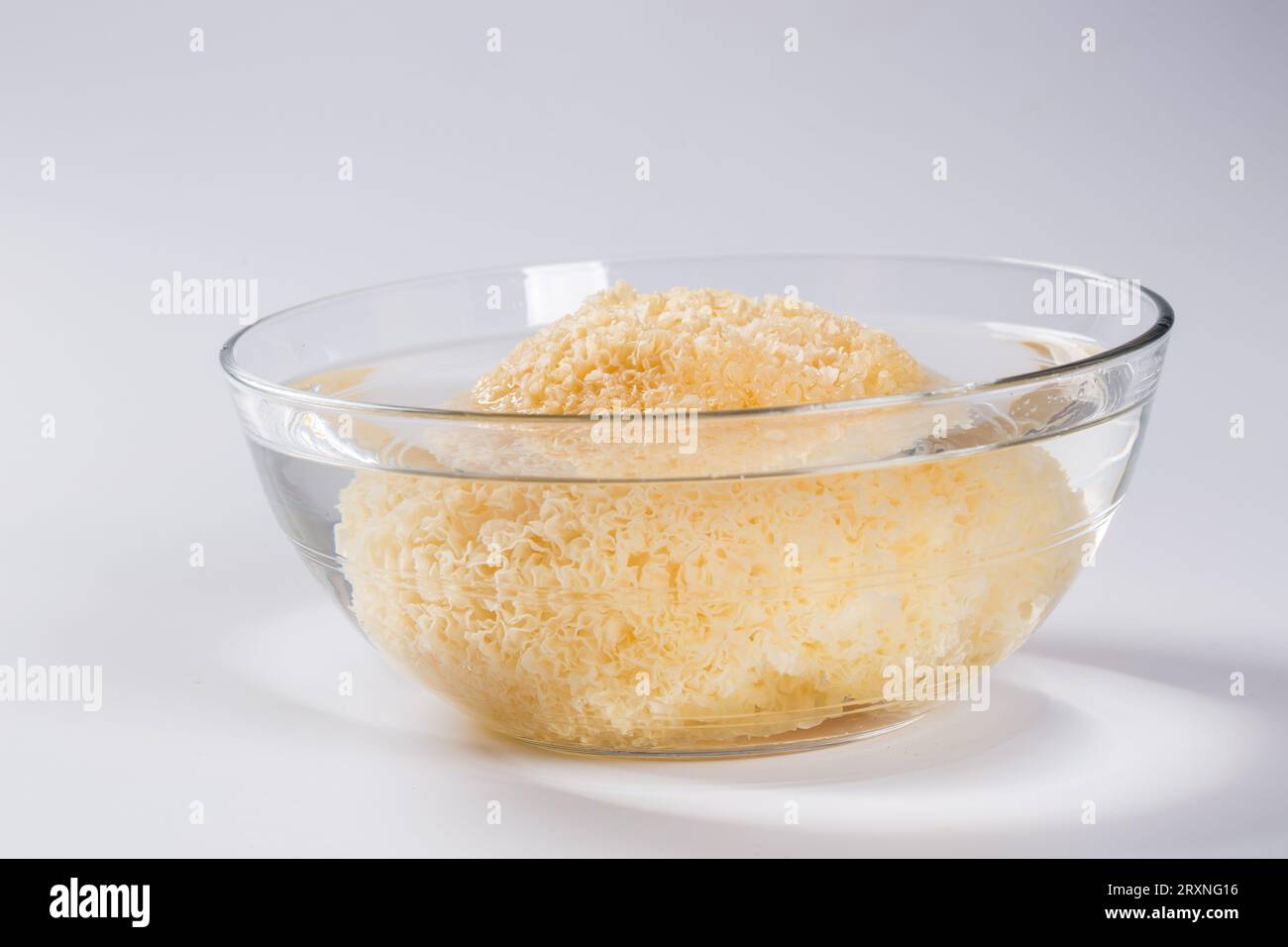 Fresh white fungus (Tremella fuciformis) on a bamboo background Stock ...