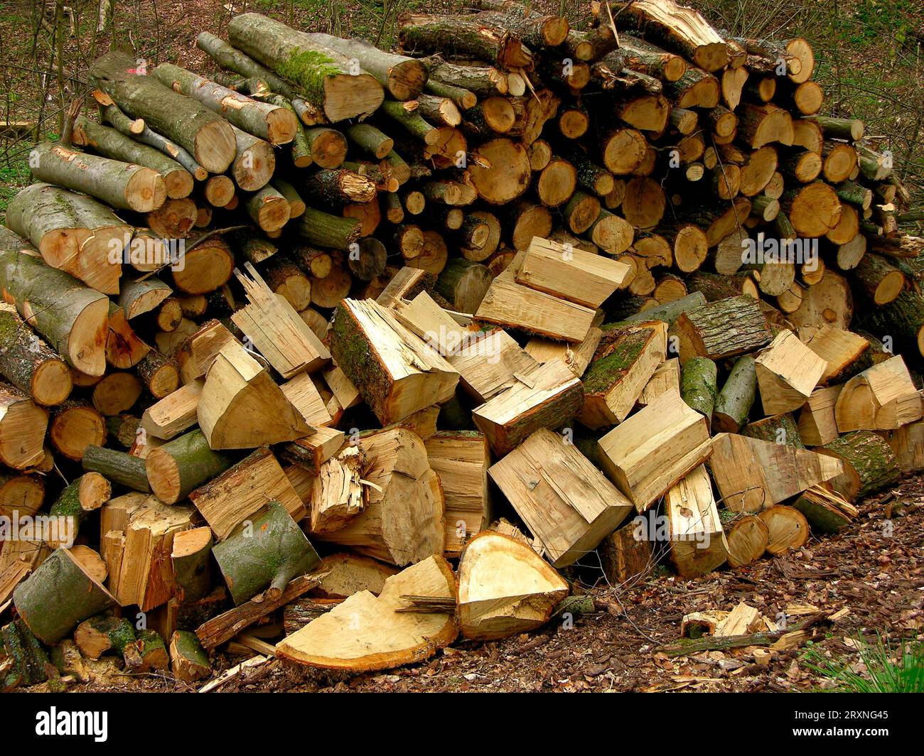 Firewood, wood store Stock Photo - Alamy