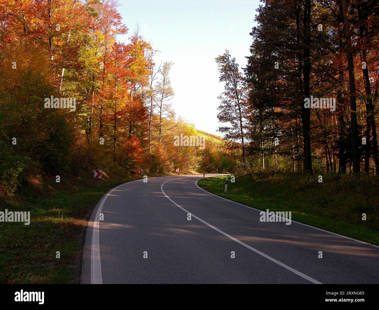 Wooded country road hi-res stock photography and images - Alamy