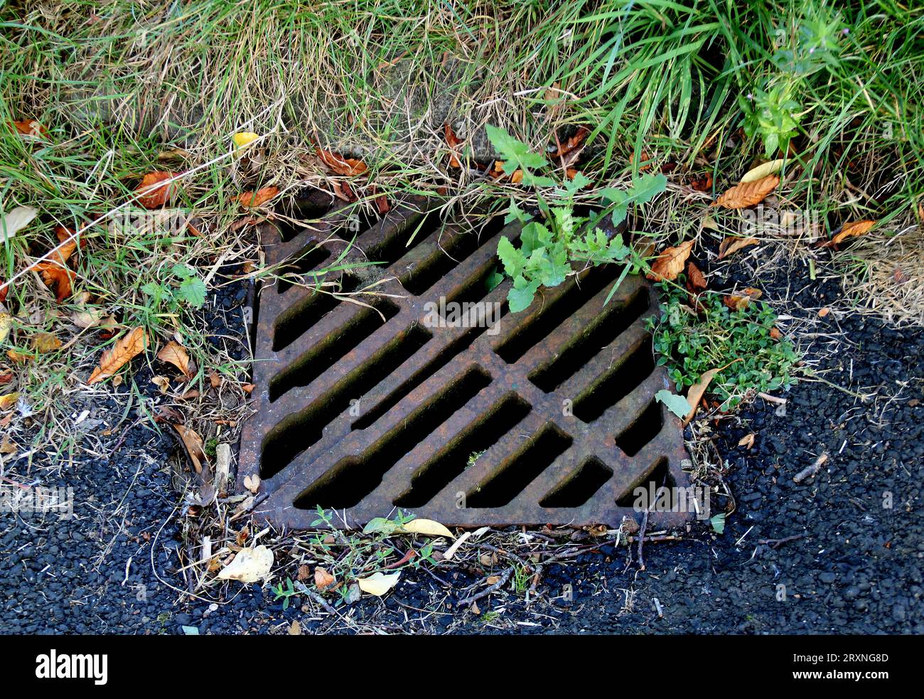 Roadside drain cover hi-res stock photography and images - Alamy
