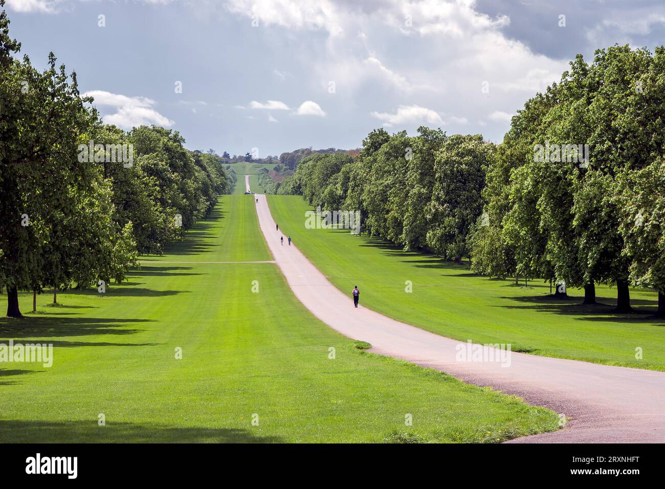The Long Walk at Windsor Great Park Stock Photo - Alamy