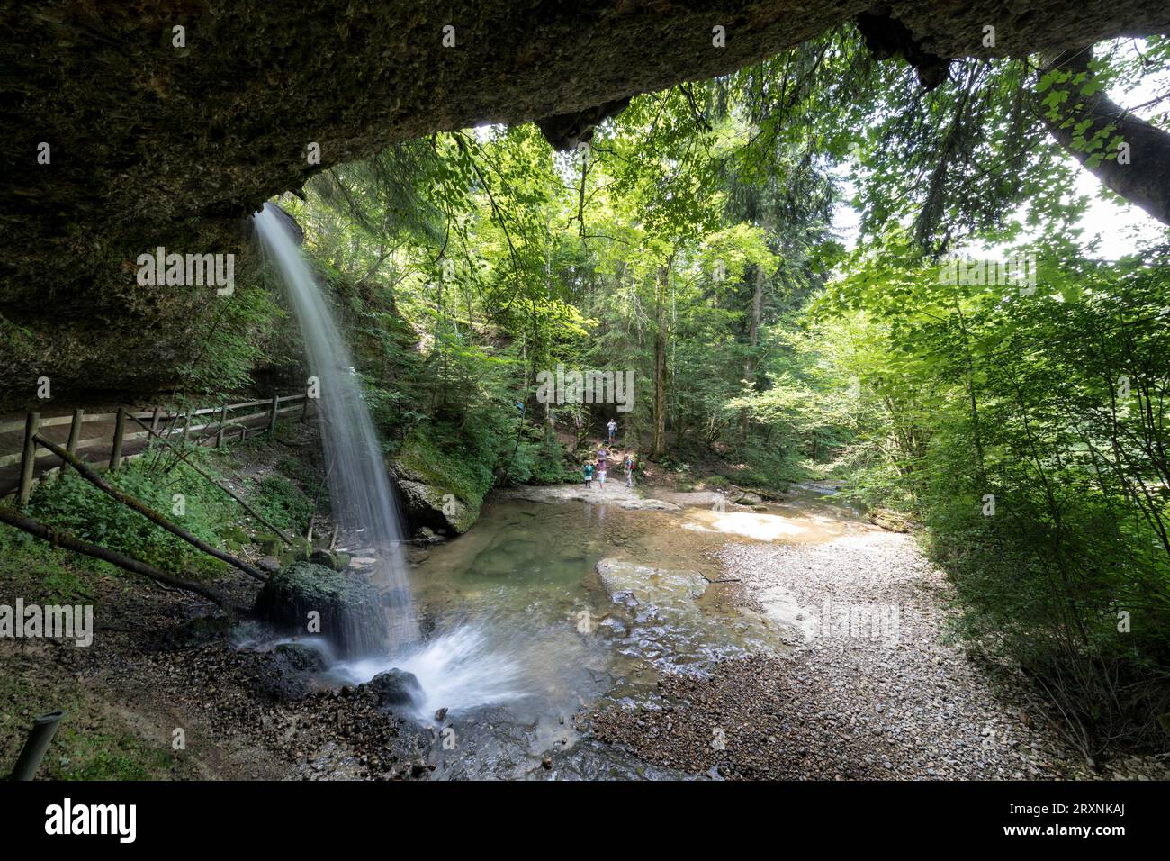Mountain stream with waterfall a sight in Scheidegg, Scheidegg, Allgaeu ...