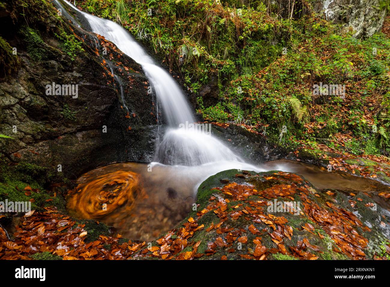 Waterfall in autumn forest, Holchen waterfall, Bad Peterstal-Griesbach ...