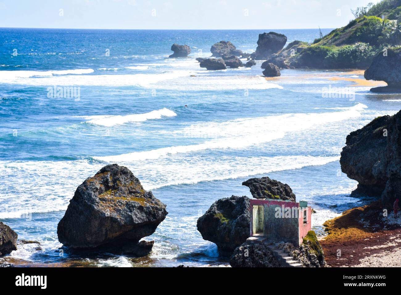 Barbados, Country in the Caribbean coastline and abandon house Stock ...