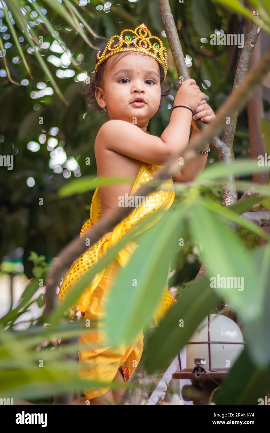 adorable infant dressed as hindu god krishna cute facial expression ...