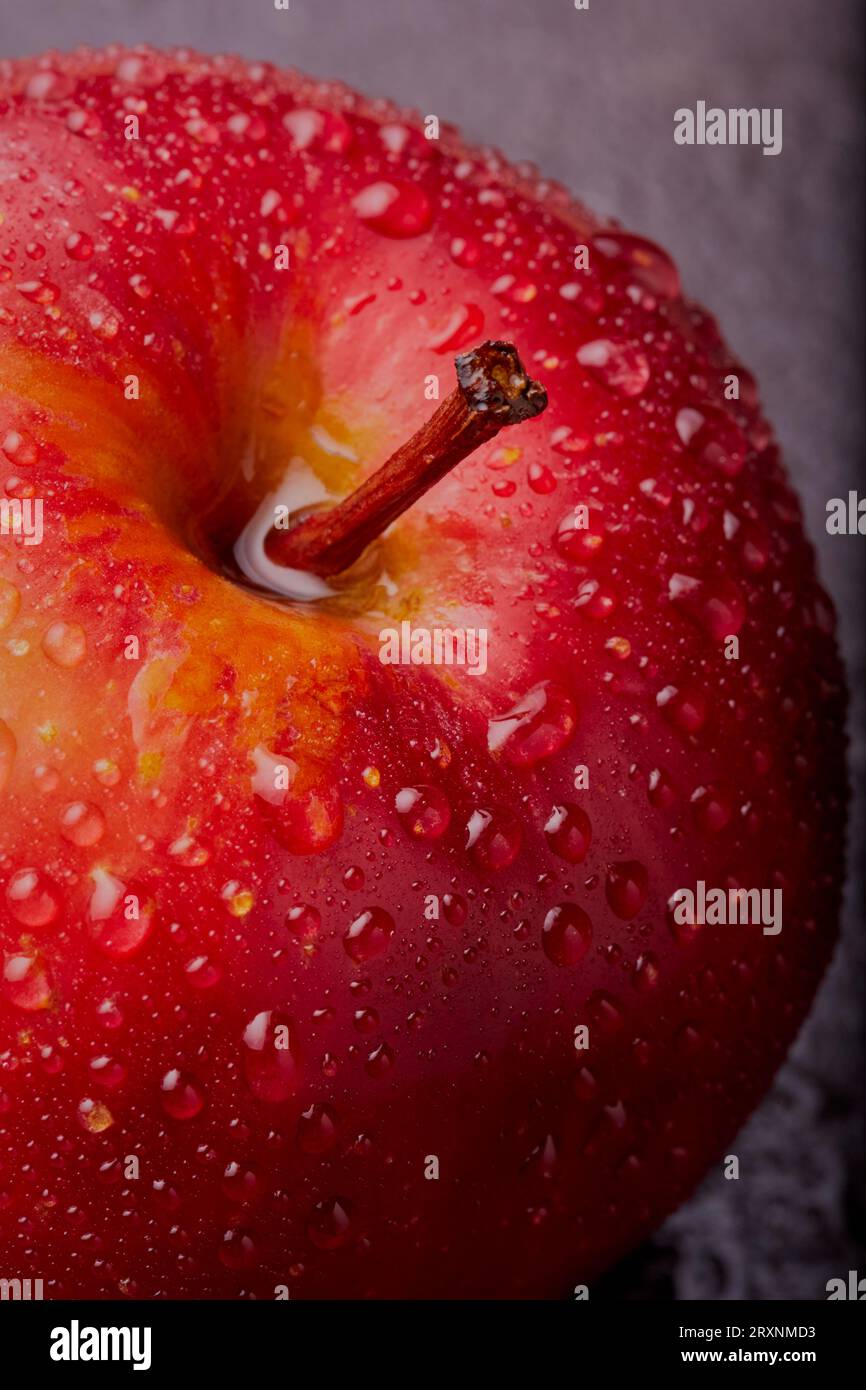 Red apple with water droplets covering the skin with a stalk sticking ...