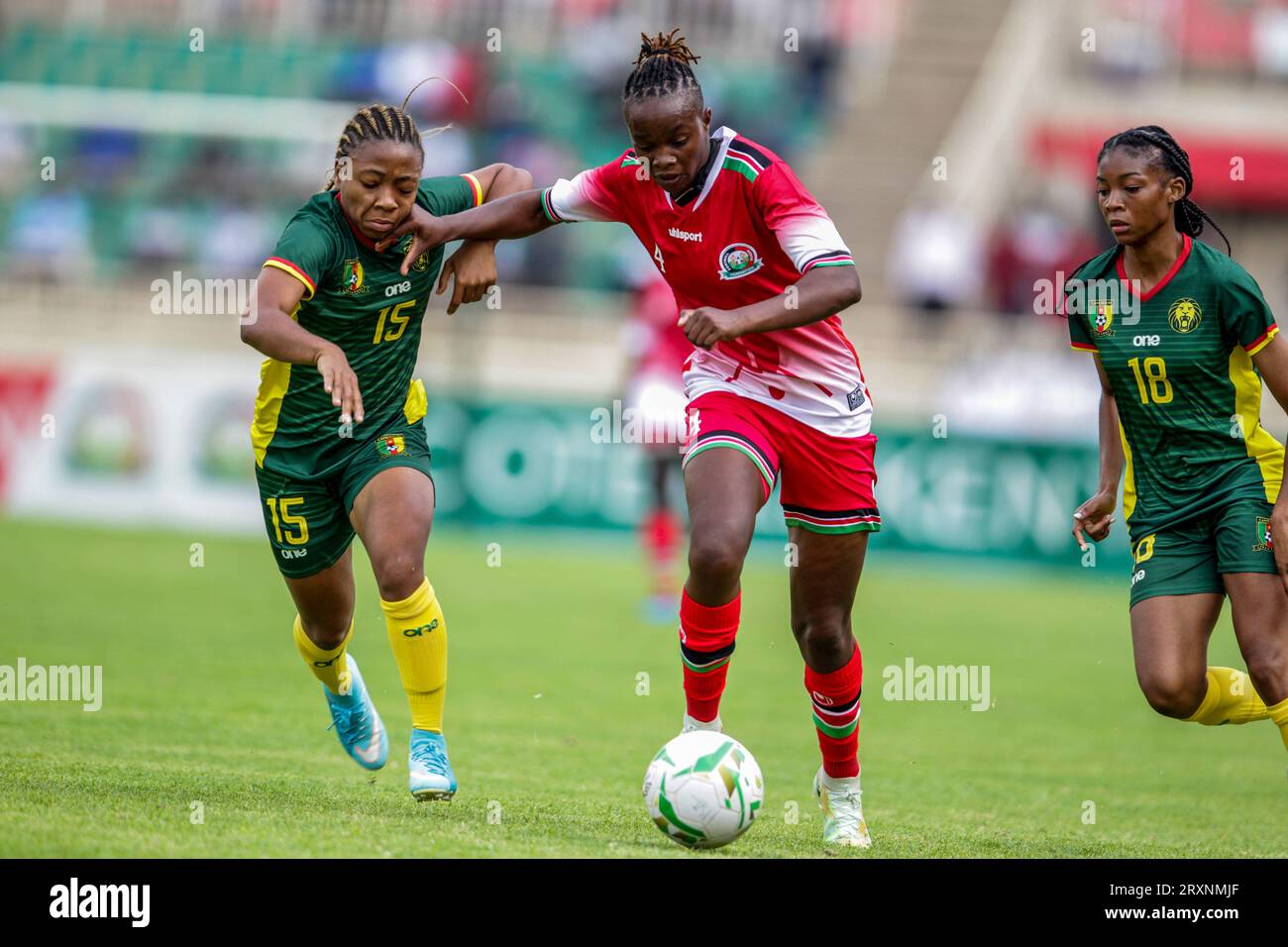 Cameroon lionesses hi-res stock photography and images - Alamy