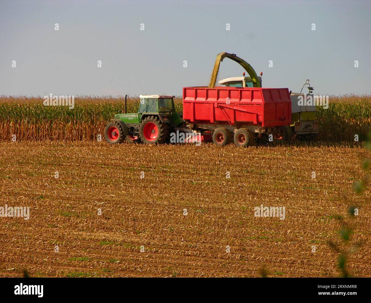 Maize harvest with agricultural machinery, agriculture Stock Photo - Alamy