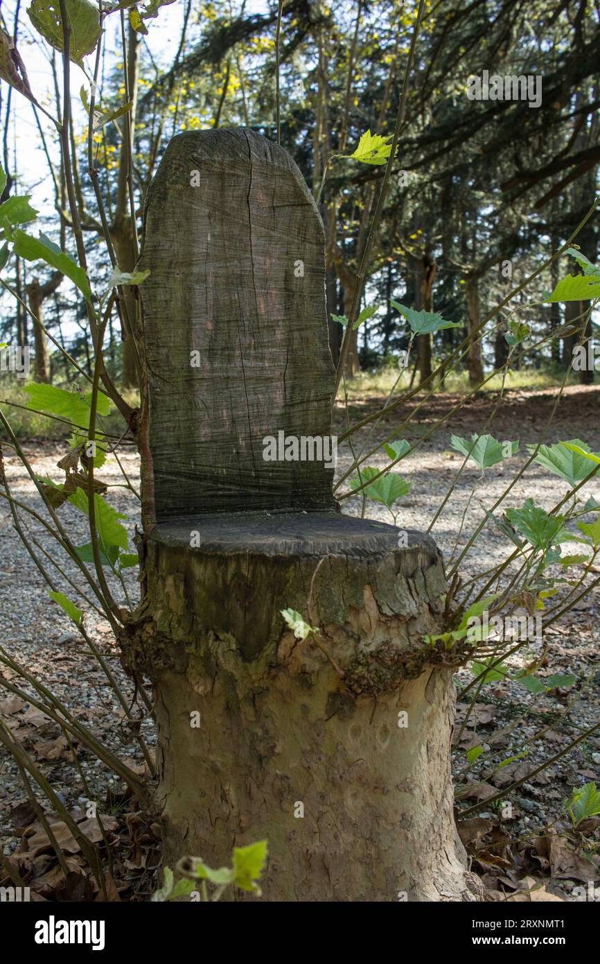 Handmade garden chair hi-res stock photography and images - Alamy