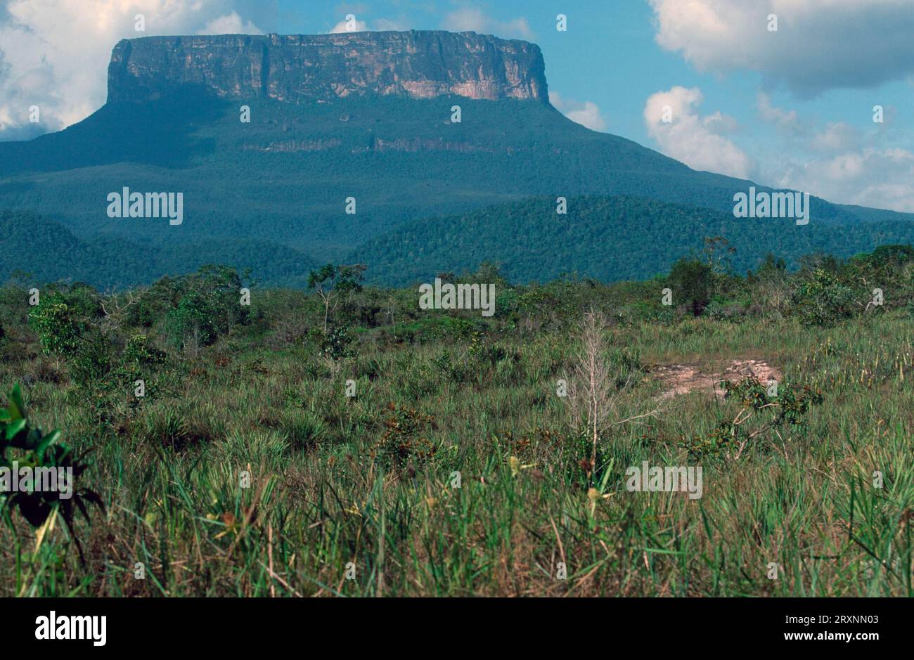 Table Mountain 'Ptari Tepuy', Canaima National Park, Bolivar Province ...