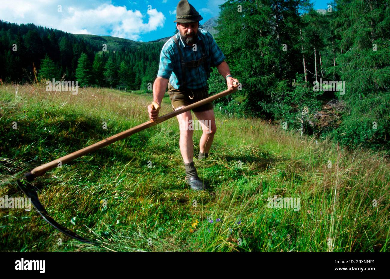 Mountain farmer with scythe, Carinthia, Alps, Austria Stock Photo - Alamy