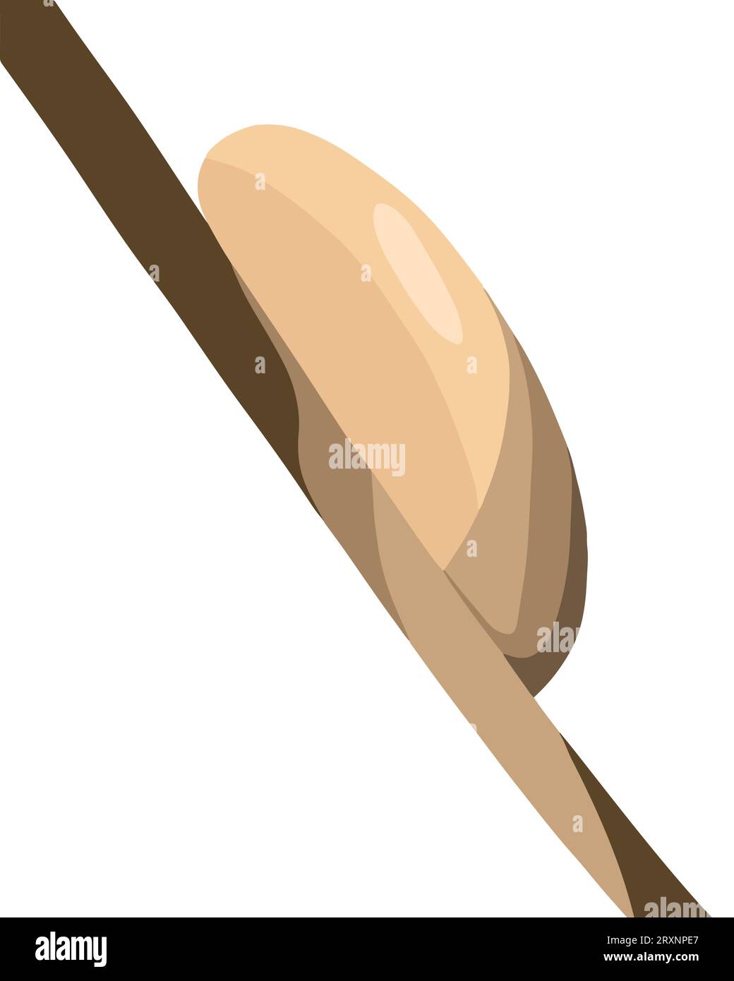 Hatching insects Stock Vector Images - Alamy