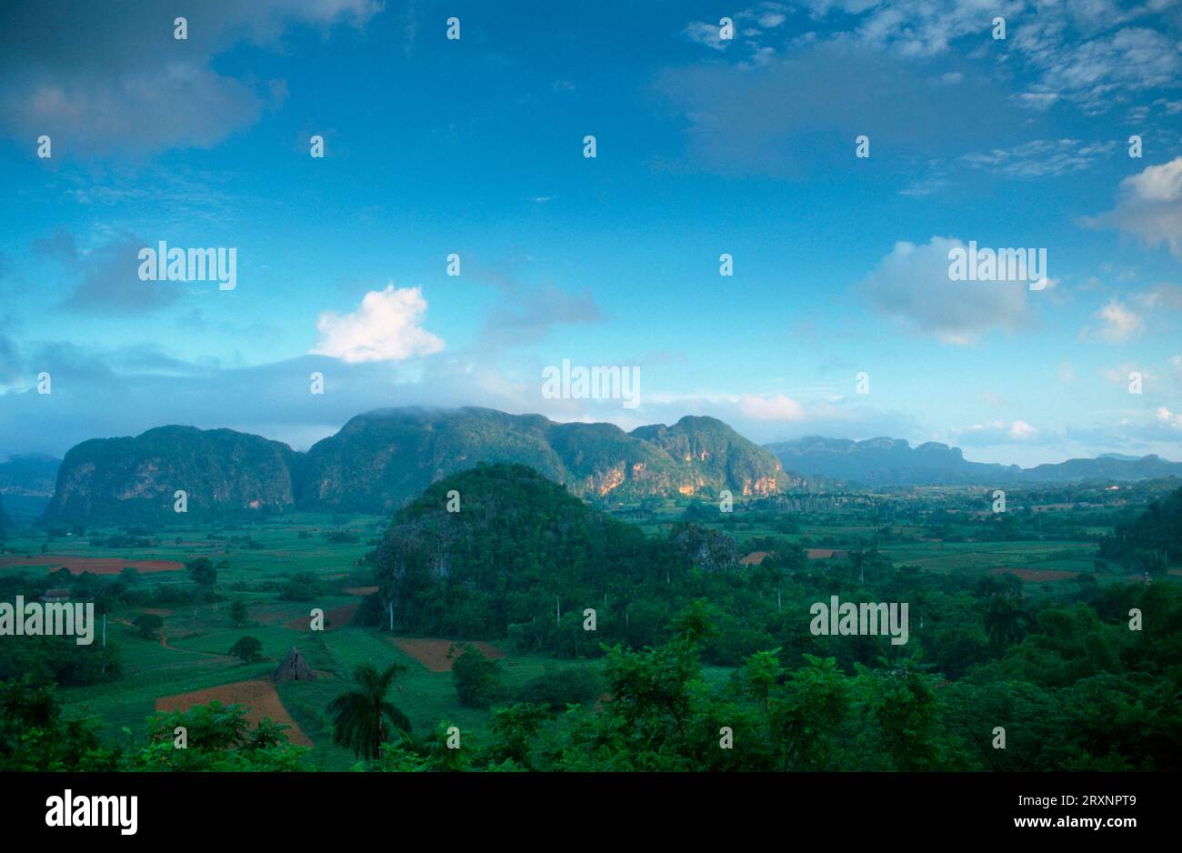 Vinales Valley with limestone cliffs, Mogotes, Cuba Stock Photo - Alamy