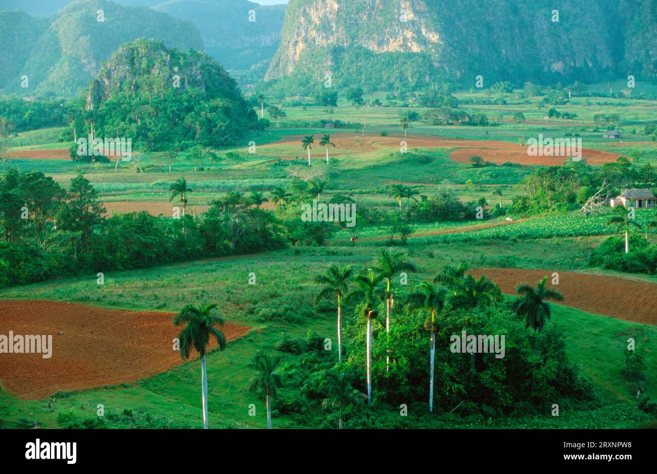 Vinales valley with tobacco fields and limestone cliffs, Mogotes, Cuba ...