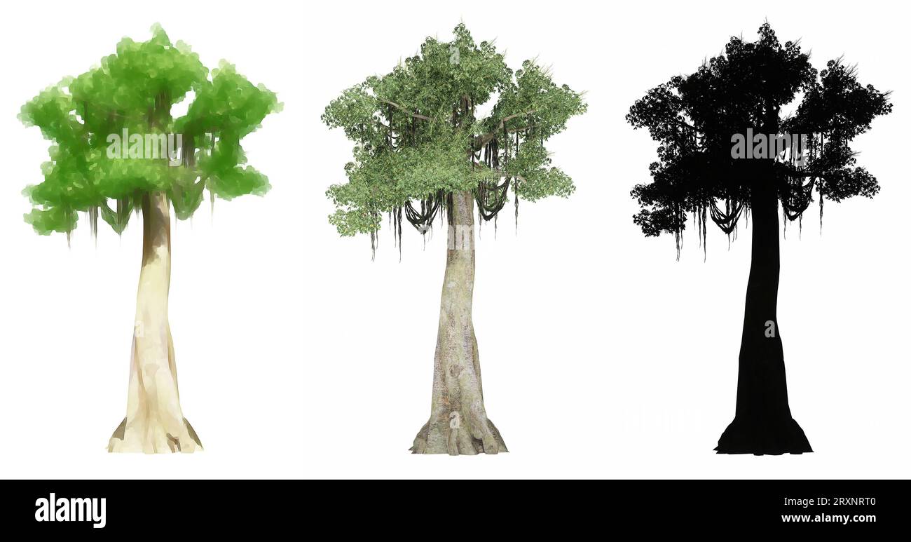 Set or collection of Kapok trees , painted, natural and as a black ...