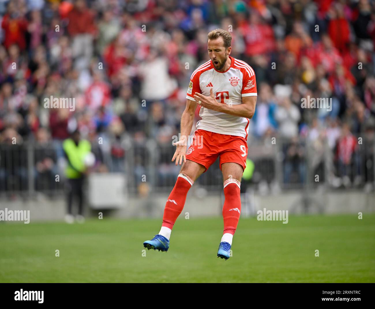 Typical goal celebration by Harry Kane FC Bayern Munich FCB (09 ...