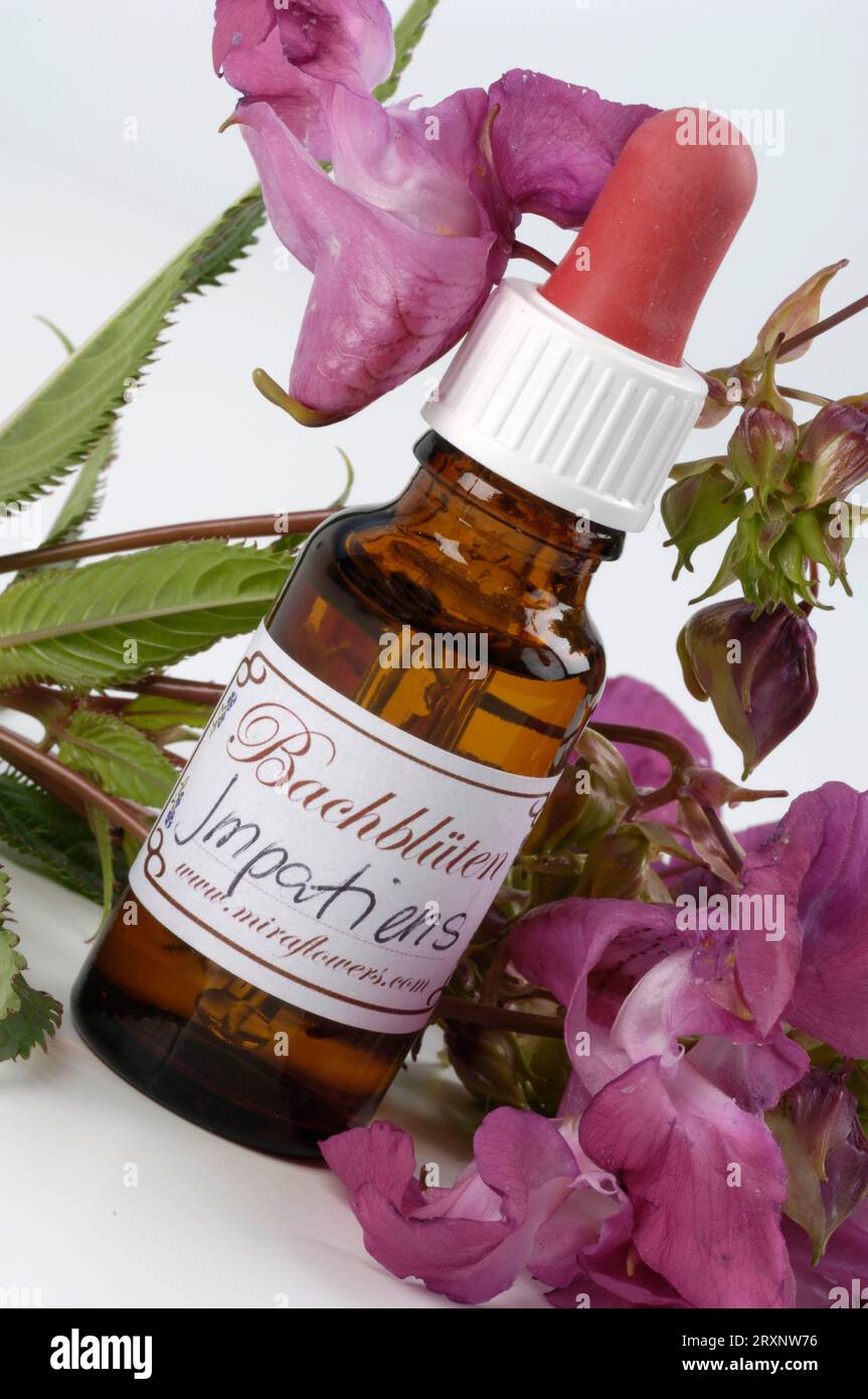 Bottle with Bach Flower Stock Remedy 'Himalayan Balm', Bottle with Bach ...