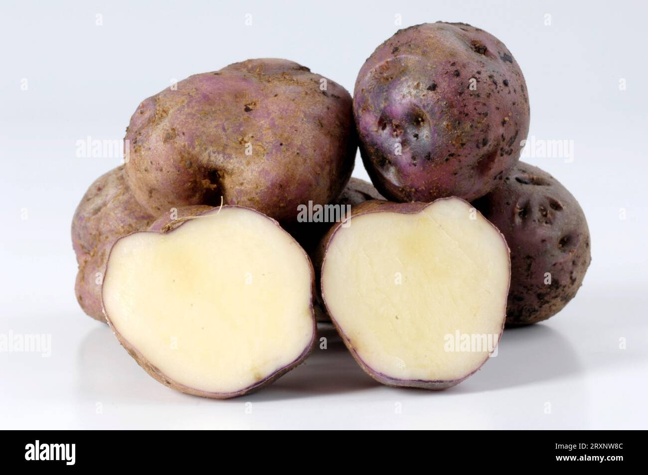 Potatoes (Solanum tuberosum) Skerry Blue, cuttings Stock Photo - Alamy