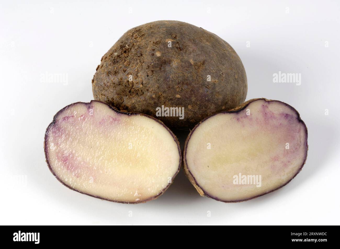 Potatoes 'Shetland Black', potatoes (Solanum tuberosum) 'Shetland Black ...